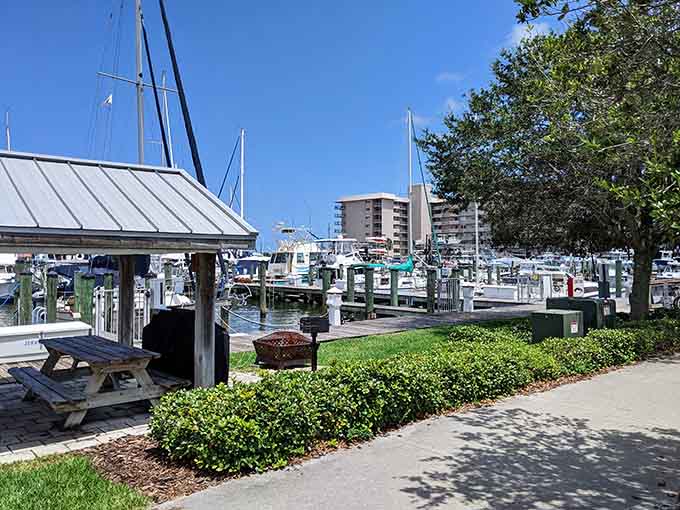 The marina views from Old Fort Park serve up that classic Florida coastal vibe without the typical tourist crowds and overpriced everything.