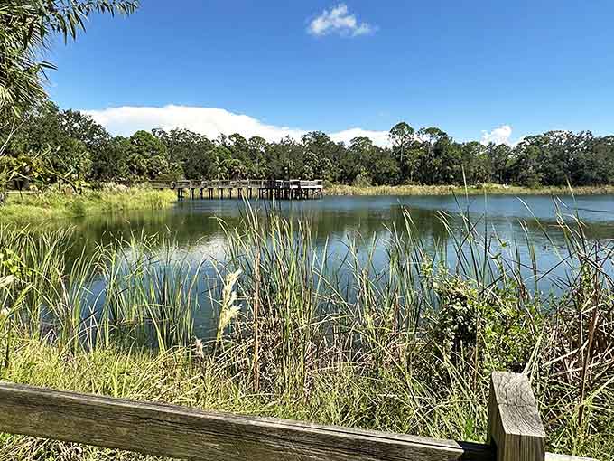 Lake views that prove Mother Nature has better decorating skills than any interior designer you've ever hired.