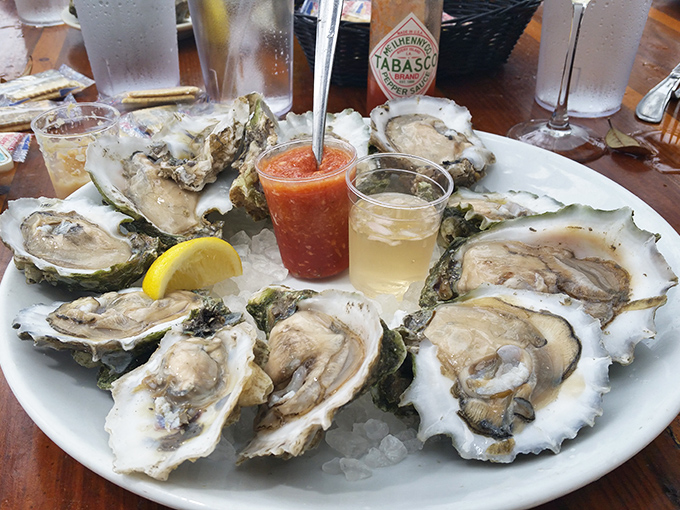 A dozen reasons to celebrate life: Fresh oysters on ice with all the fixings make every day feel like a special occasion.
