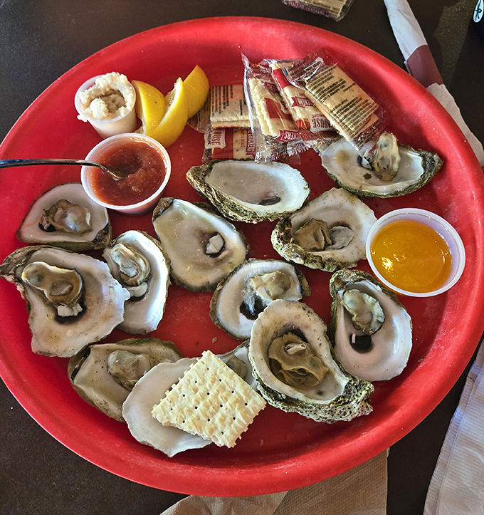 These briny treasures on the half shell are so fresh they practically tell you what's happening underwater.