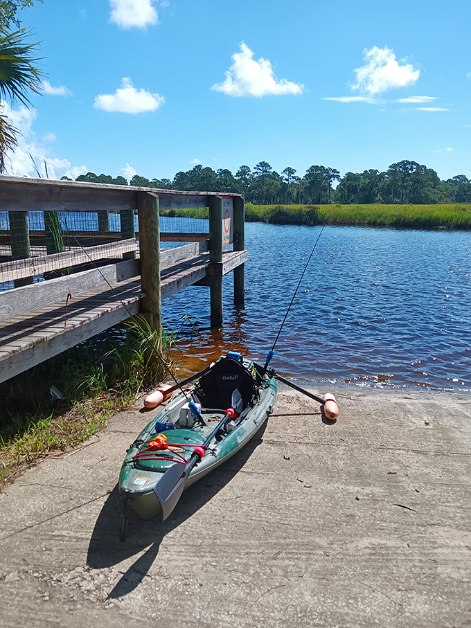 Adventure awaits on Bulow Creek, where your kayak might become the envy of fish below and birds above.