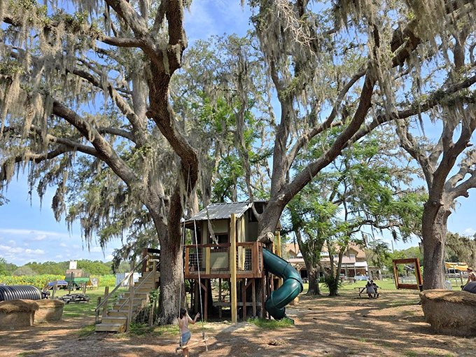 This treehouse playground proves that the best childhood memories are still made outdoors, not on screens.