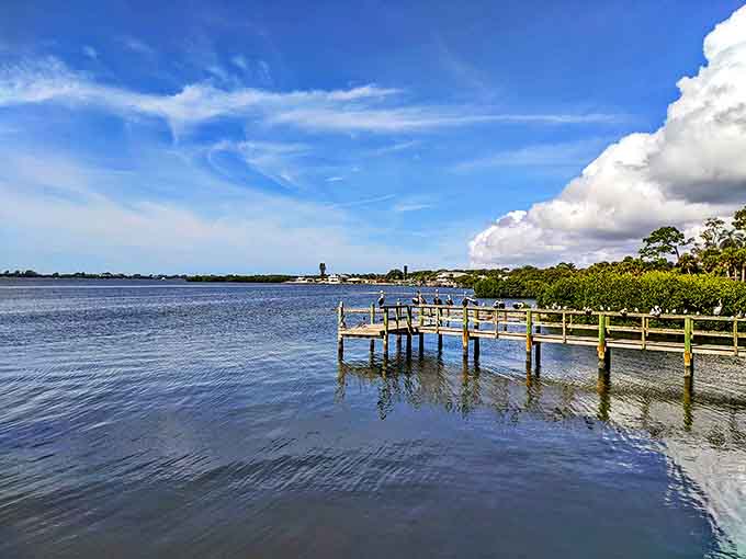 Royal Palm Marina bustles with activity as fishing boats return with the day's catch, promising tonight's fresh seafood dinner.