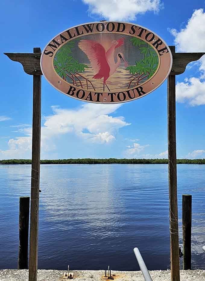 The boat tour sign promises adventures through waters where alligators still outnumber tourists, thankfully for everyone involved in this equation.