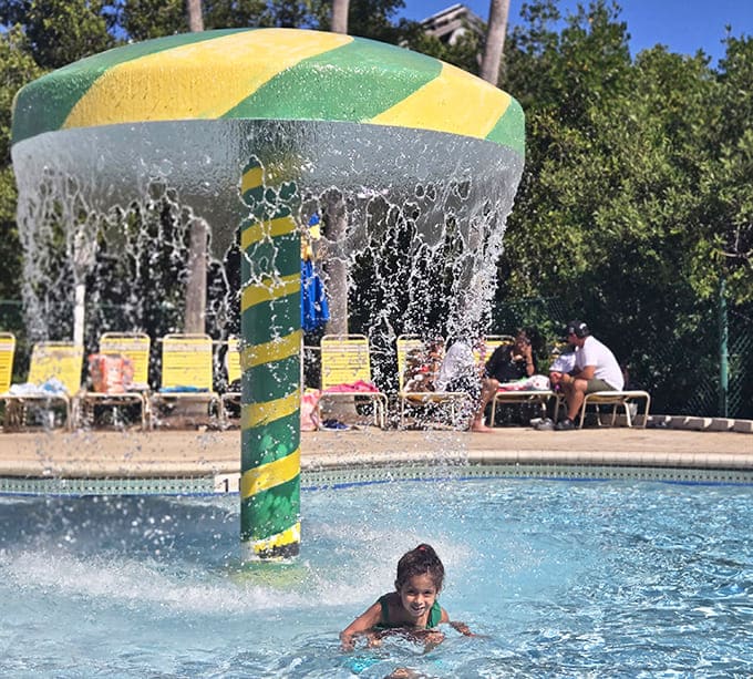 Nothing beats that golden hour glow when the water turns magical and every splash looks like it belongs in a vacation commercial.