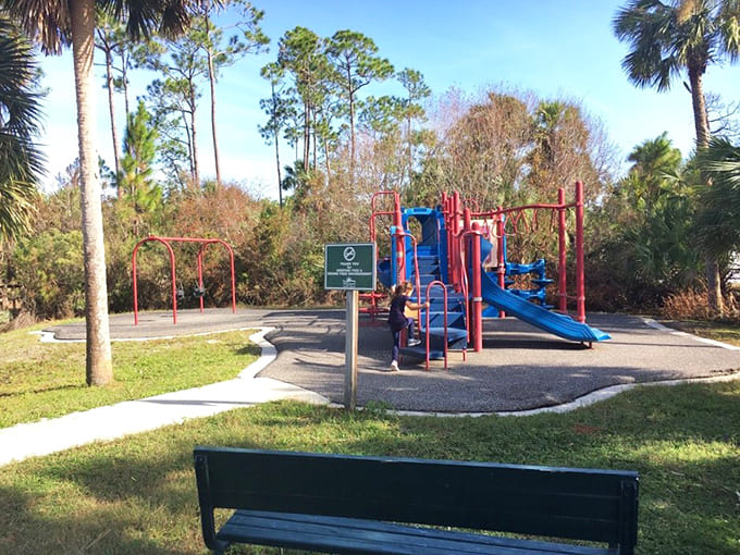 Bright playground equipment proves that nature and fun can share the same space without anyone getting territorial about it.
