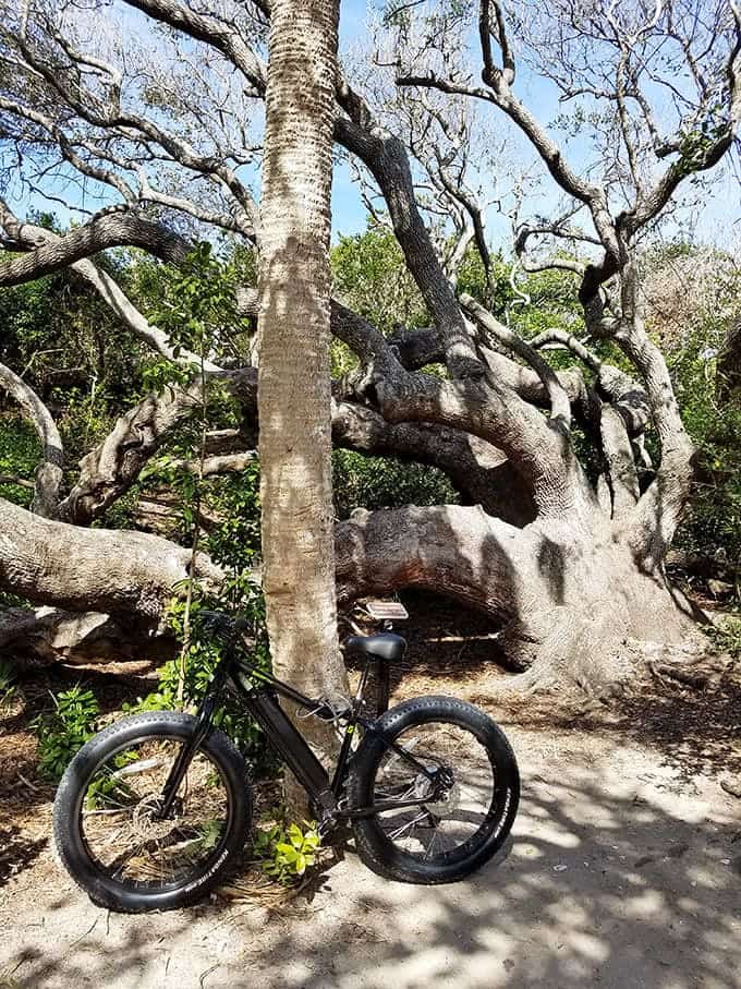 Biking through history beats a stationary bike any day&mdash;your Fitbit might not know the difference, but your soul will.