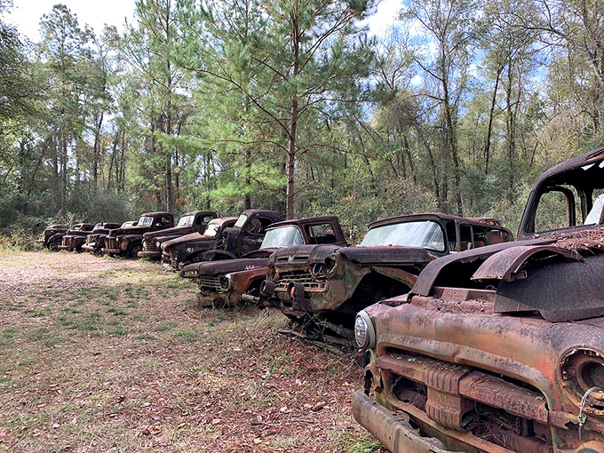 These mechanical time capsules create a rusty rainbow against the verdant Florida landscape &ndash; Detroit's finest in their final resting place.