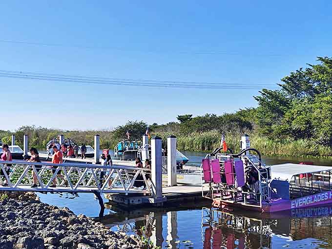 Sunset chasers gather at the water's edge, proving that the best things in Miami aren't always behind velvet ropes.