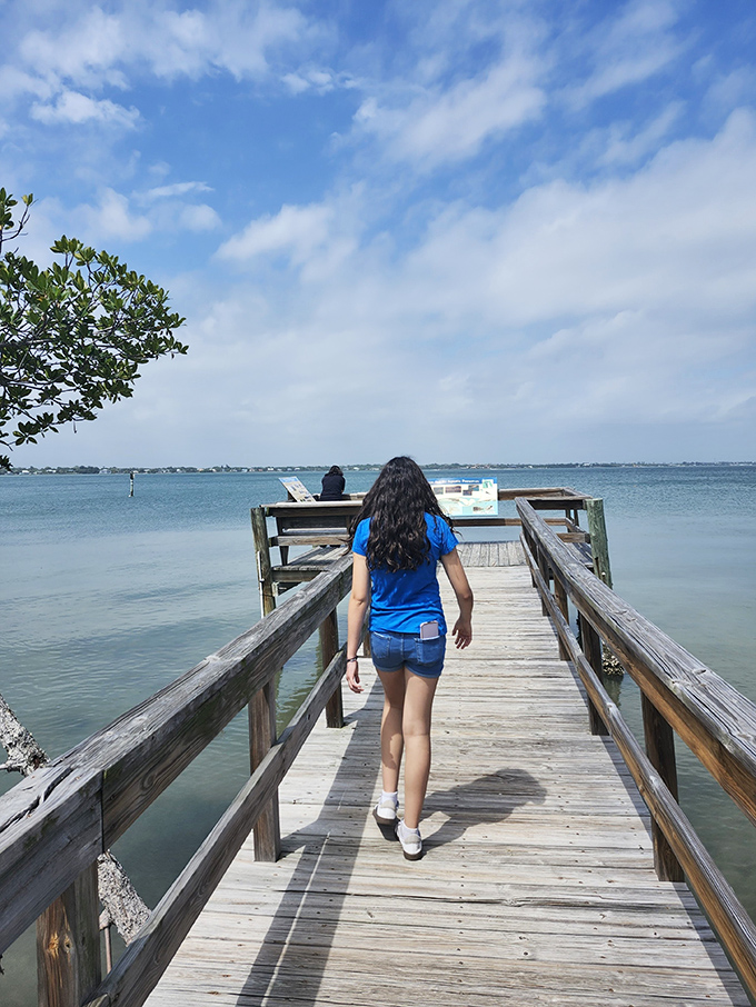 Explorers venture along the wooden boardwalk, where every step brings new discoveries and the promise of wildlife encounters.