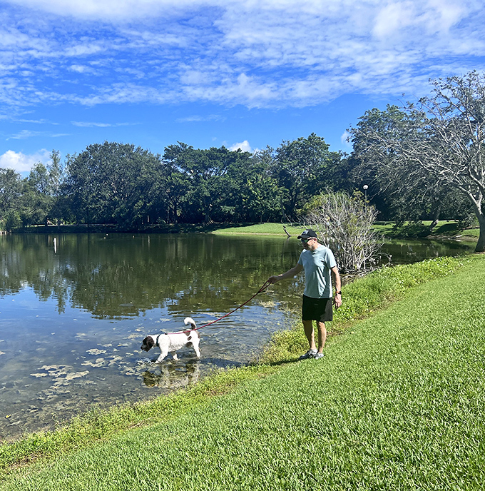 Man's best friend gets to enjoy paradise too, as this four-legged explorer tests the waters while his companion soaks in the scenery.