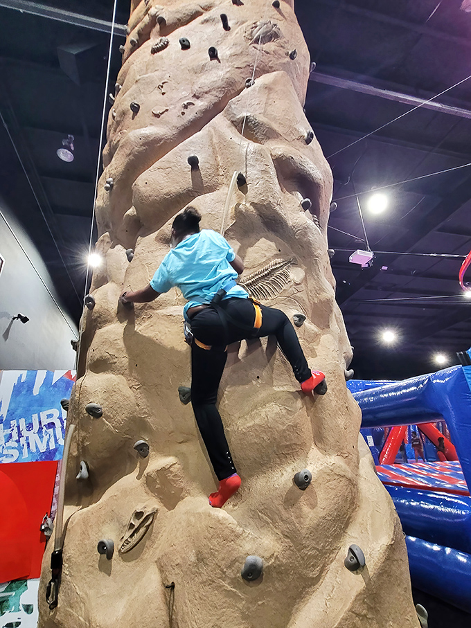The climbing wall offers vertical thrills with the safety net of soft landings, perfect for conquering heights without conquering fear.