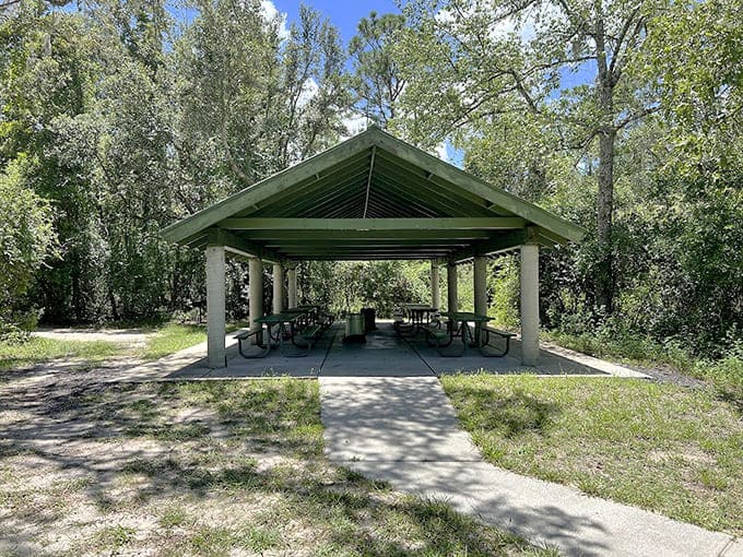 Picnic shelters that have hosted more family gatherings than your aunt's dining room, with better views.