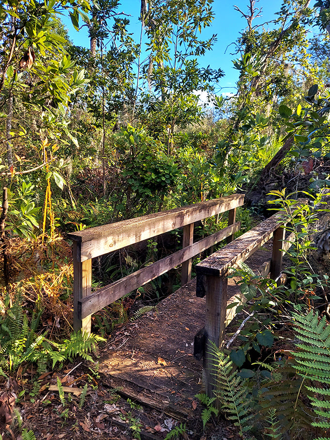 5. wooden footbridge