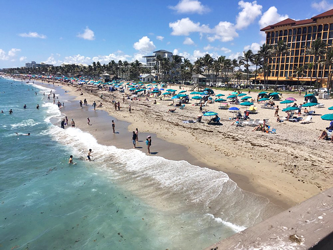 Beach umbrellas dot the landscape like colorful mushrooms sprouting from golden sand after a sunshine shower.