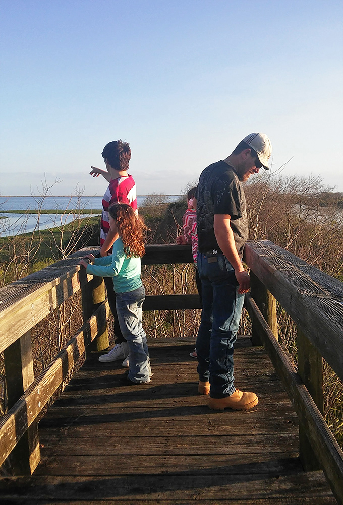 Some family memories can't be bought with admission tickets &ndash; they're made on simple wooden observation decks.