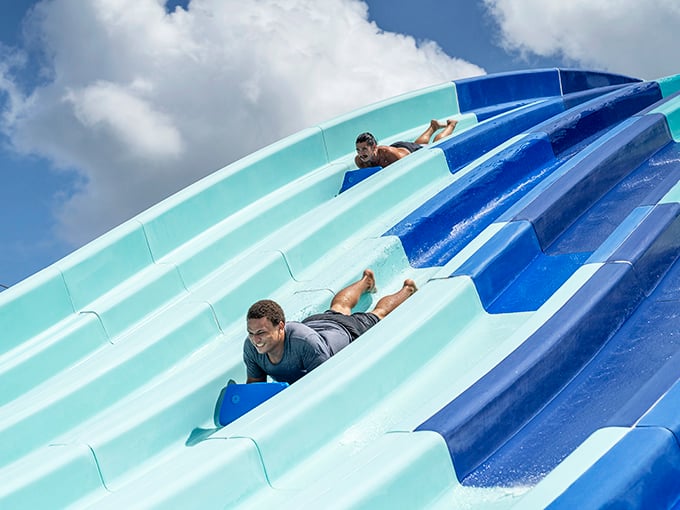Two daredevils race down parallel slides, their expressions capturing that perfect moment between exhilaration and the "what have I done?" realization.