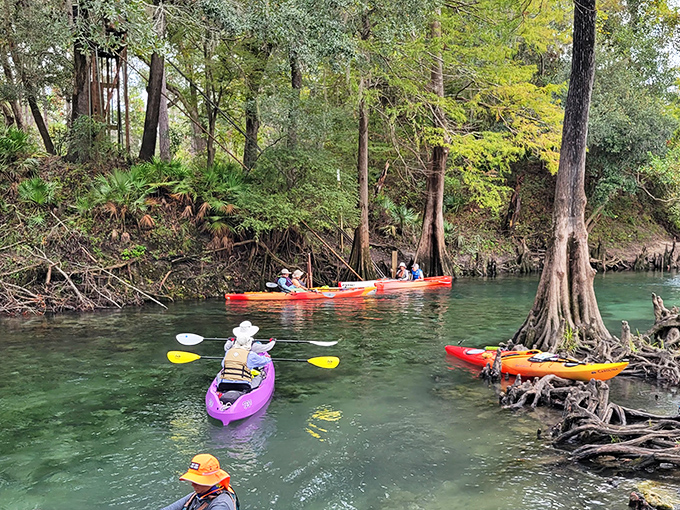 Like tropical fish themselves, these bright vessels add human-made color to nature's perfect palette.