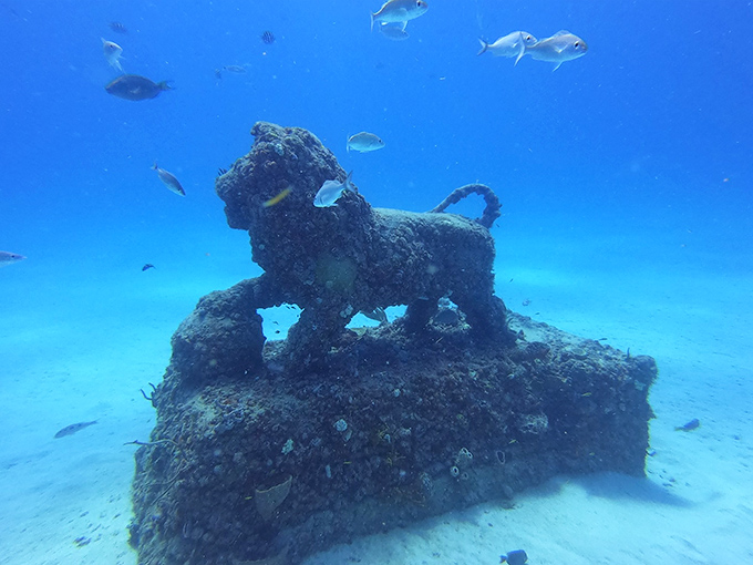This lion statue, now fuzzy with marine growth, stands guard like a mythological creature from a storybook about underwater kingdoms.