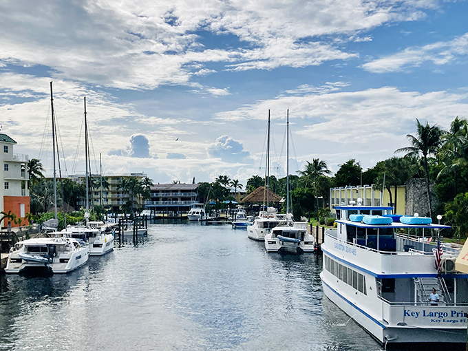 Key Largo's marina provides a picturesque backdrop for the African Queen's daily voyages, with modern luxury vessels contrasting her vintage charm.
