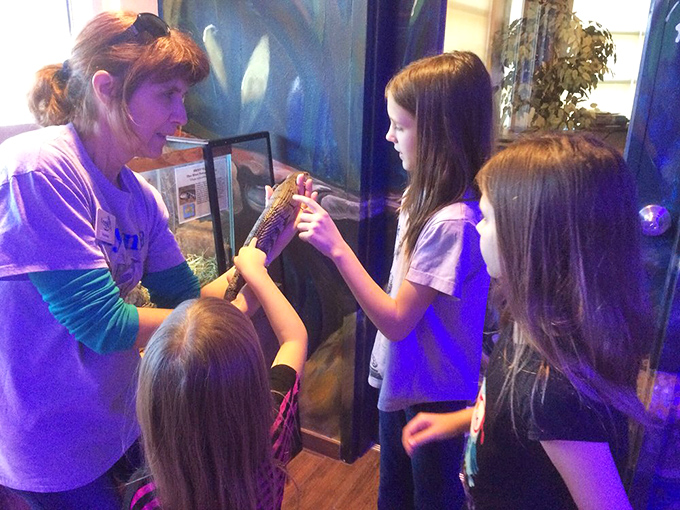 Knowledge transfer in action &ndash; passionate staff members connect young visitors with Florida's wildlife through hands-on experiences.