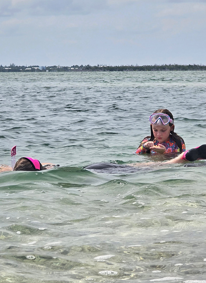 Childhood joy in its purest form &ndash; where the classroom is crystal clear water and marine life provides the curriculum.