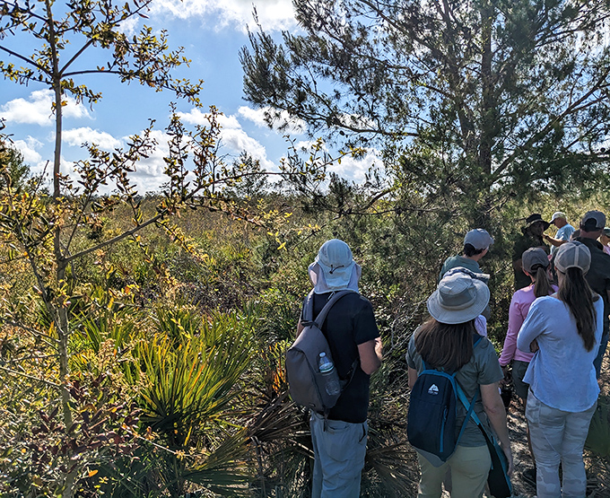 Curious visitors gather at the trail's edge, proving that sometimes the best classroom has no walls, desks, or homework assignments.
