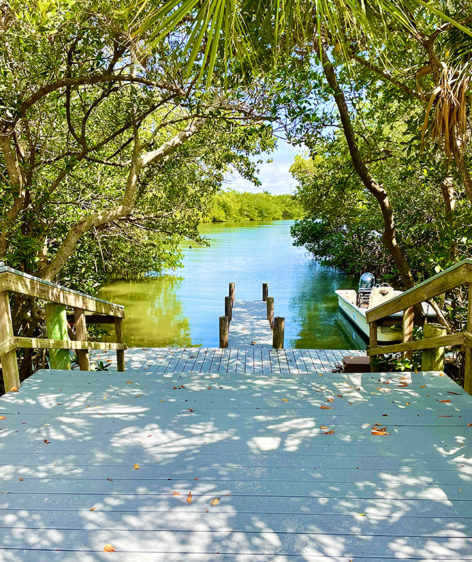 Where memories are made: This simple wooden dock serves as both launching point and front-row seat to nature's daily water ballet.