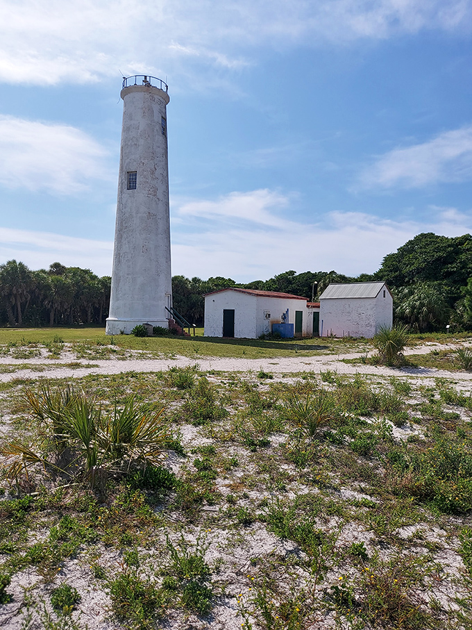Egmont Key Light's white tower creates a perfect contrast against the blue Florida sky, surrounded by swaying palms and coastal vegetation.