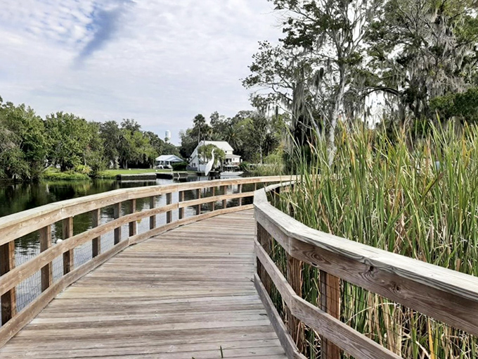 Winding boardwalks invite exploration through Hunter Springs Park's diverse ecosystems, where water meets wilderness.