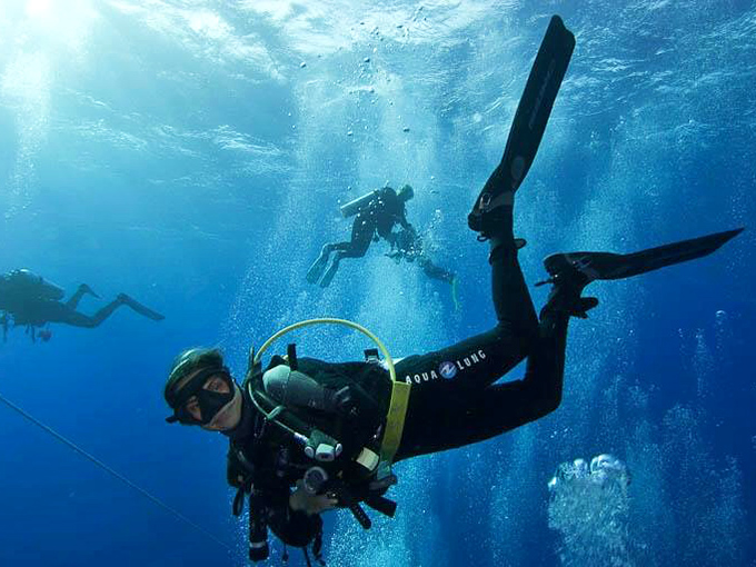 The deep blue beckons as divers descend into Florida's offshore waters. Some adventures take you deeper than snorkeling, revealing a world few get to experience firsthand.