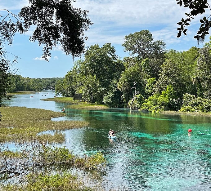 Rainbow Springs' limestone shelf creates a natural entry point to waters so clear they seem almost invisible.