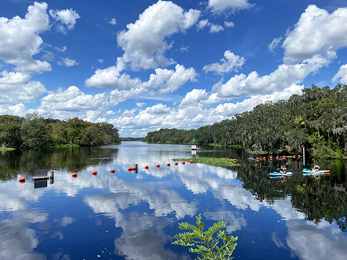 Kayakers glide across the mirror-like surface of Blue Spring, where the water is so clear you can count fish swimming beneath your boat.