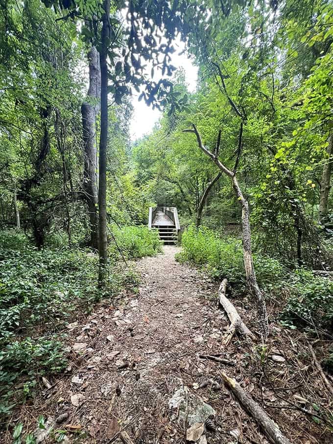 Cross this charming wooden bridge and listen to the peaceful sounds of the creek as you explore this scenic ravine.