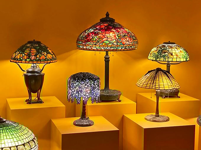 Stained glass symphony! These Tiffany lamps showcase why colored glass became an American art form &ndash; each one a miniature masterpiece of light and color.