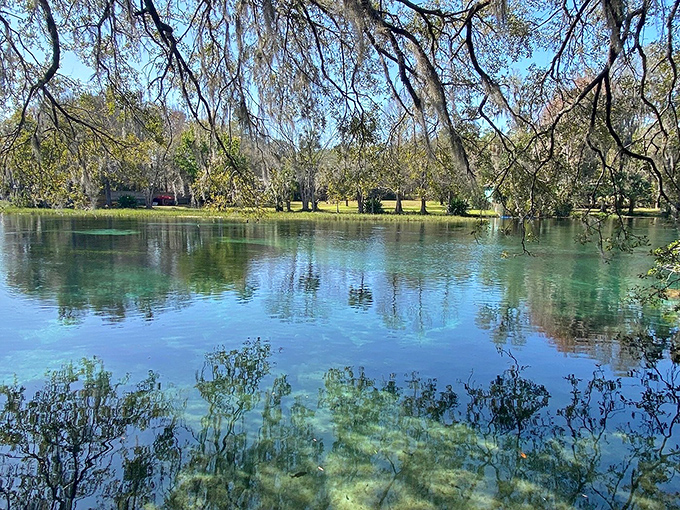 A lone tuber drifts across Rainbow Springs' glass-like surface, experiencing Florida's natural beauty from the perfect vantage point.