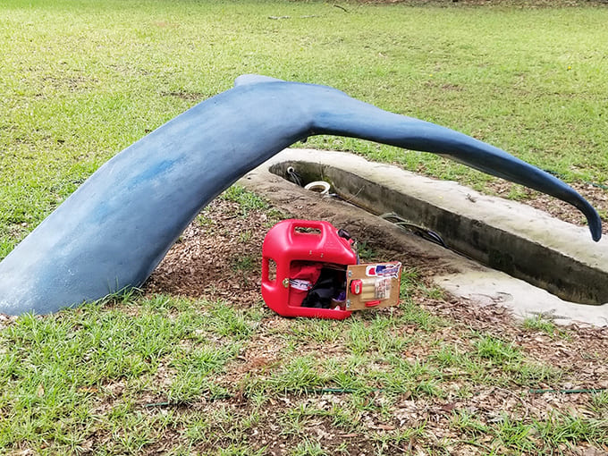 This whale's tail reaches skyward like a prayer frozen in concrete, graceful even in its stillness.