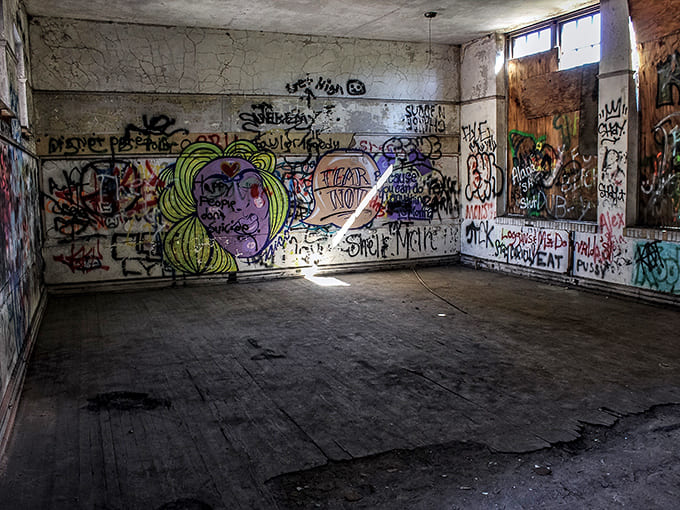 Sunlight streams through broken windows like nature's own lighting designer, creating drama in what was once just another classroom full of multiplication tables.
