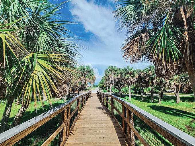Boardwalk: This wooden pathway through paradise promises palm-fringed vistas and the gentle reminder that the best things aren't rushed.