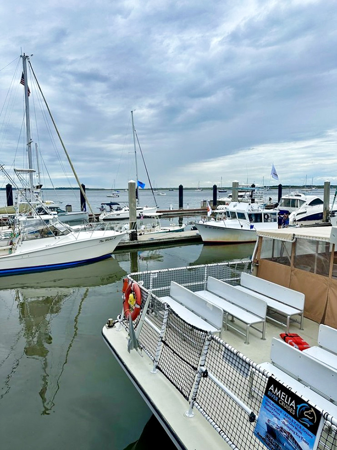 The marina provides a picturesque backdrop to festival activities, where boats gently rock in their slips as if nodding approval to the celebration.