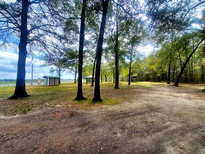 Picnic areas dot the landscape near Florida's summit, because nothing says "I conquered a mountain" quite like immediately sitting down for sandwiches and potato salad.