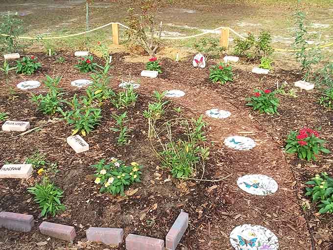 Fresh plantings in neat beds show the community care that makes this garden thrive and butterflies flourish.