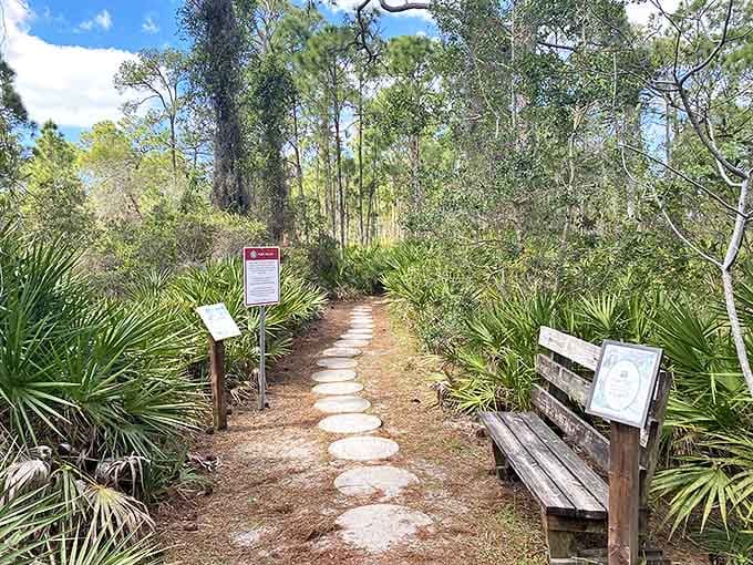 Cedar Point Environmental Park's winding trails reveal Florida's diverse ecosystems, from pine flatwoods to salt marshes, all waiting to be explored.