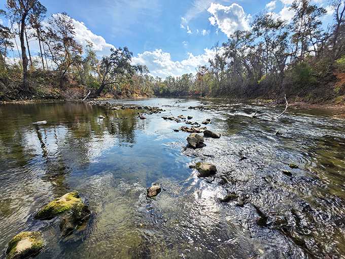 Sunlight dances across the rocky creek bed, creating an ever-changing light show that no man-made fountain could ever replicate.