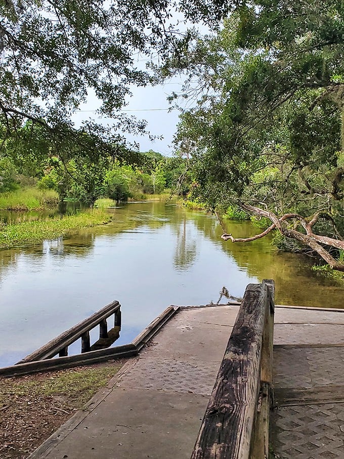 This humble dock marks the beginning of Salt Springs Run, a five-mile aquatic highway through Florida's wild heart.