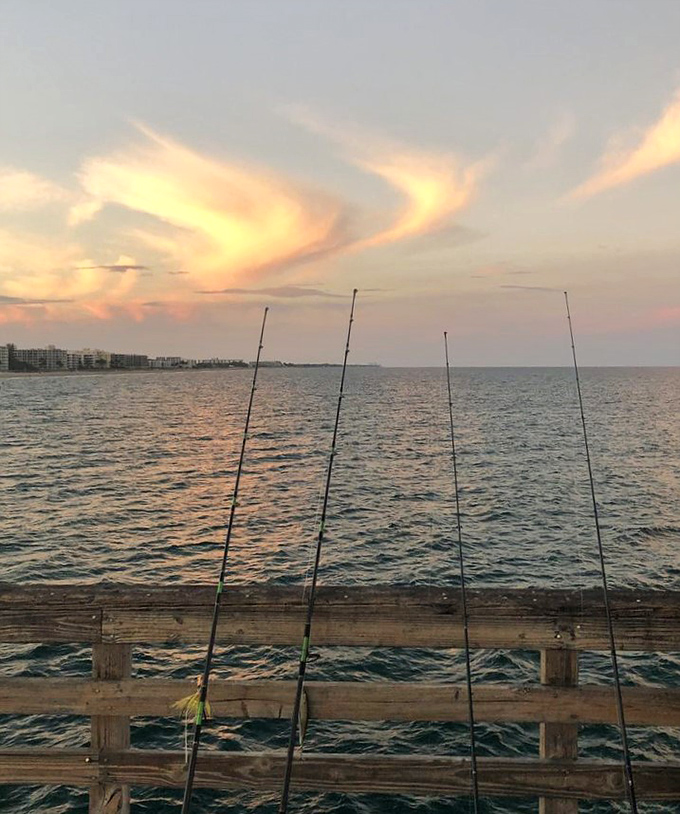 Fishing rods stand at attention against the sunset, silhouetted against a sky painted in Florida's signature orange and pink palette.