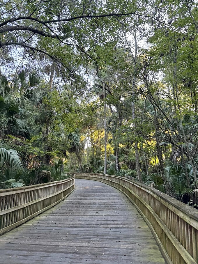 This wooden footbridge doesn't just connect two points &ndash; it transports you into a world where stress can't follow.