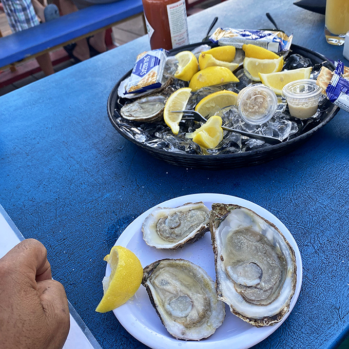 The ritual of oyster enjoyment involves all senses &ndash; the cool touch of the shell, the briny aroma, and that perfect ocean flavor.