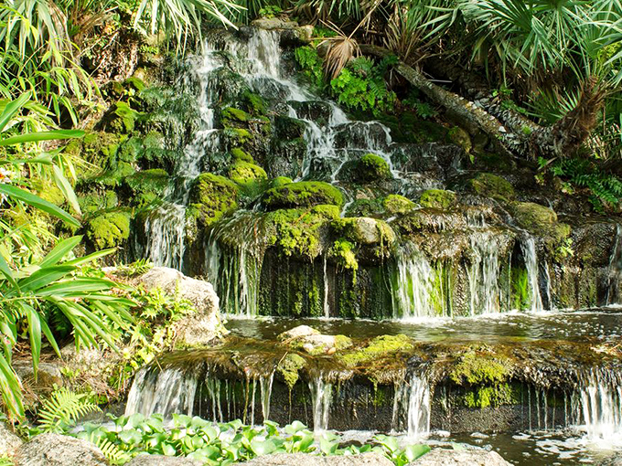 Water cascades over moss-covered stones in nature's own masterpiece, creating a soundtrack more soothing than any meditation app.