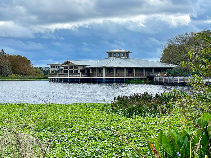 Florida architecture at its finest. The Nature Center hovers above the wetlands, blending seamlessly with its surroundings like a luxury treehouse for grown-ups.
